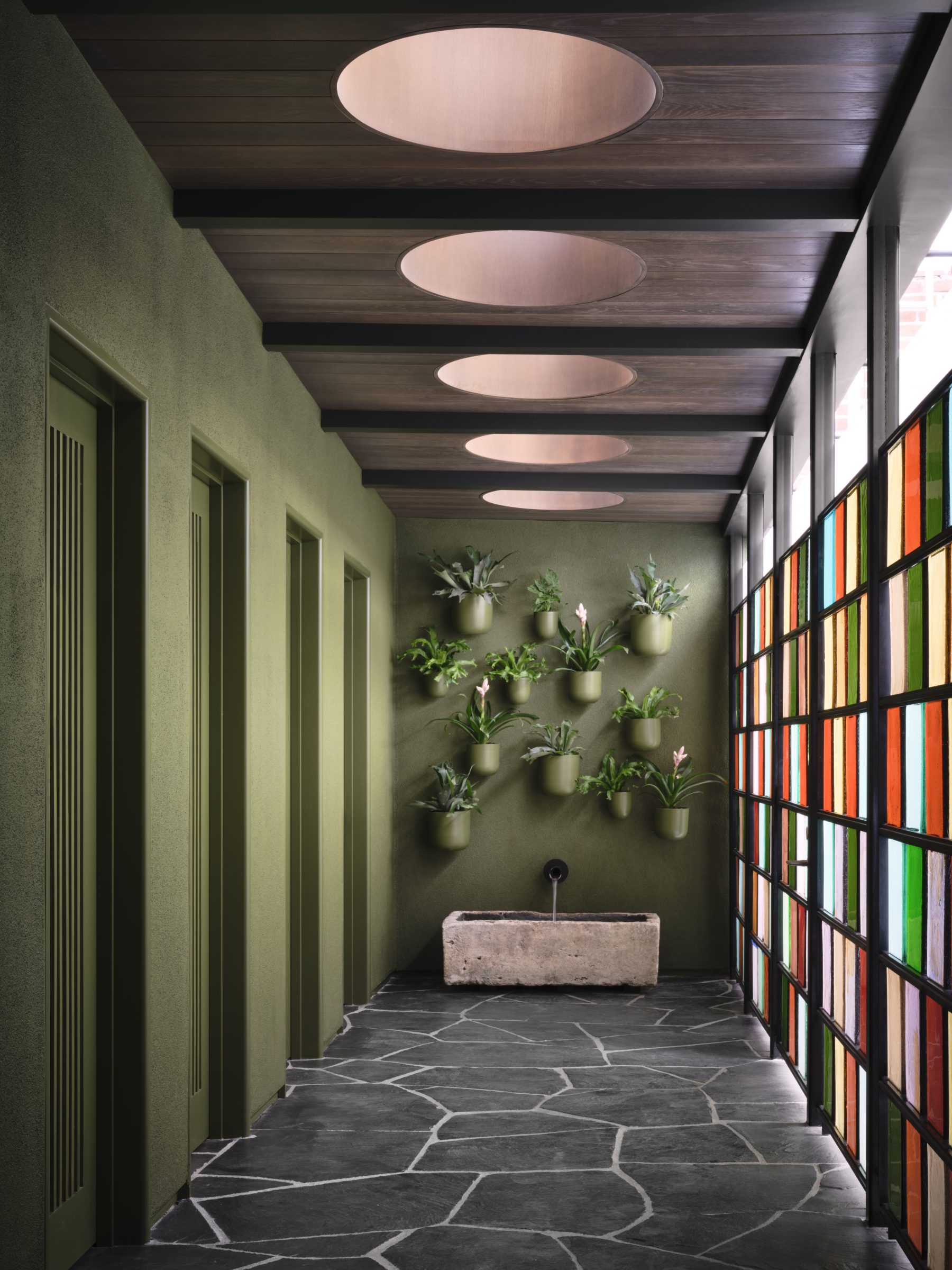 Paradisaea, La Jolla – Georgis & Mirgorodsky